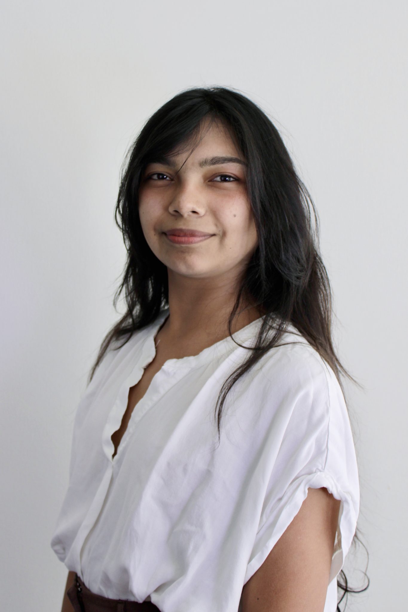 Área Bienestar - Cesist Chile